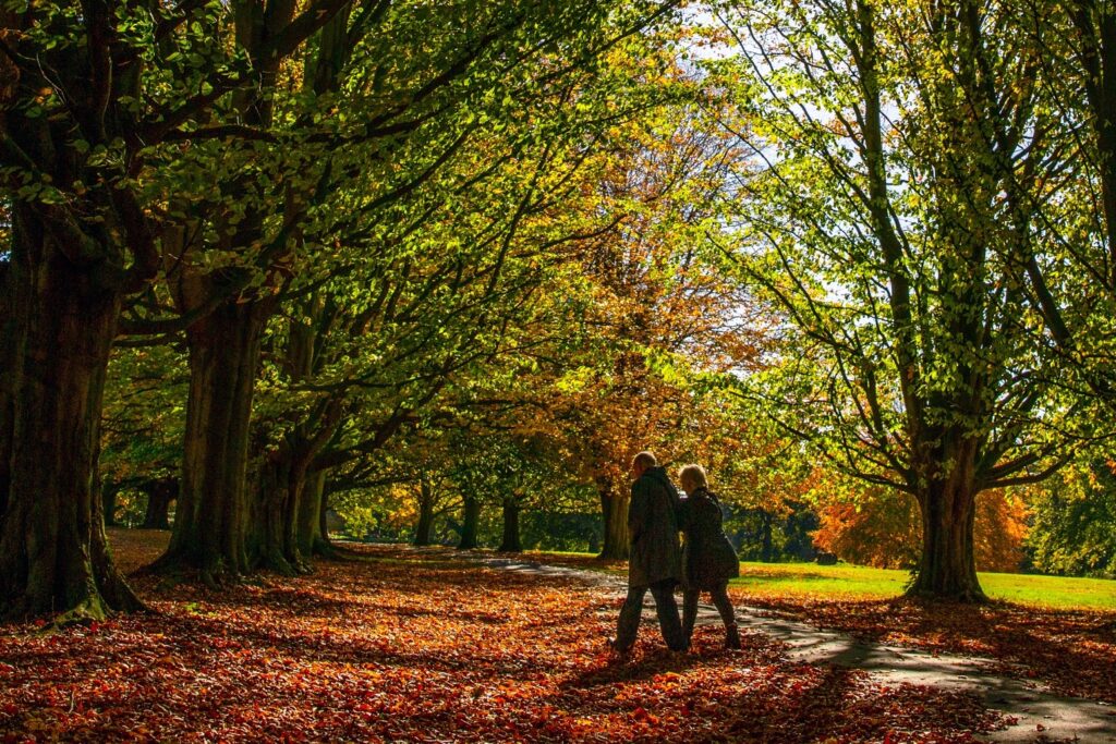 Women Walking 4000 Steps Once Or Twice A Week Cuts Risk Of Early Death ...